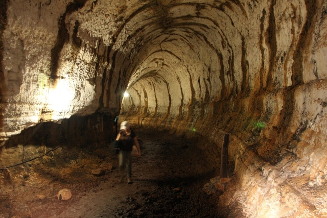 7 Days – Galapagos Loop: Immersive Experience - TravelShop Booking