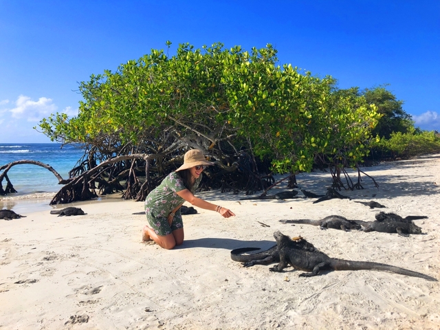 7 Days – Galapagos Loop: Immersive Experience - TravelShop Booking